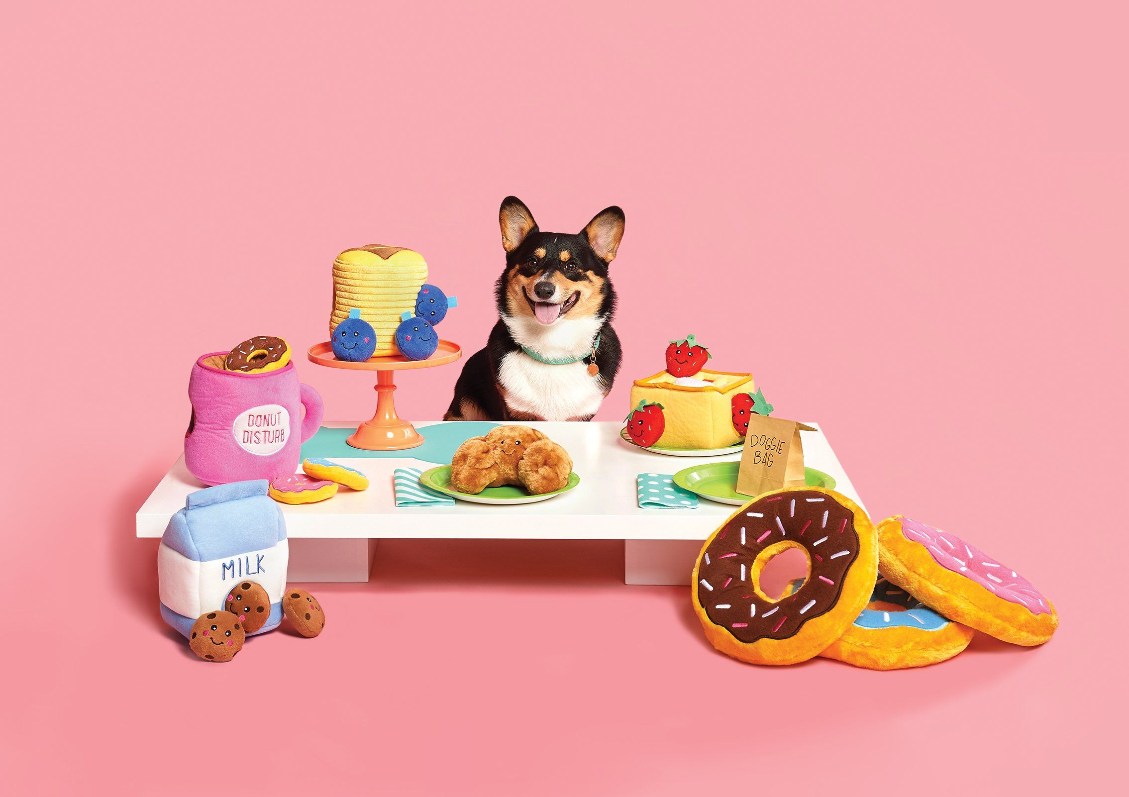 Petto Petto - Interactive Fun Toys For Your Good Pups